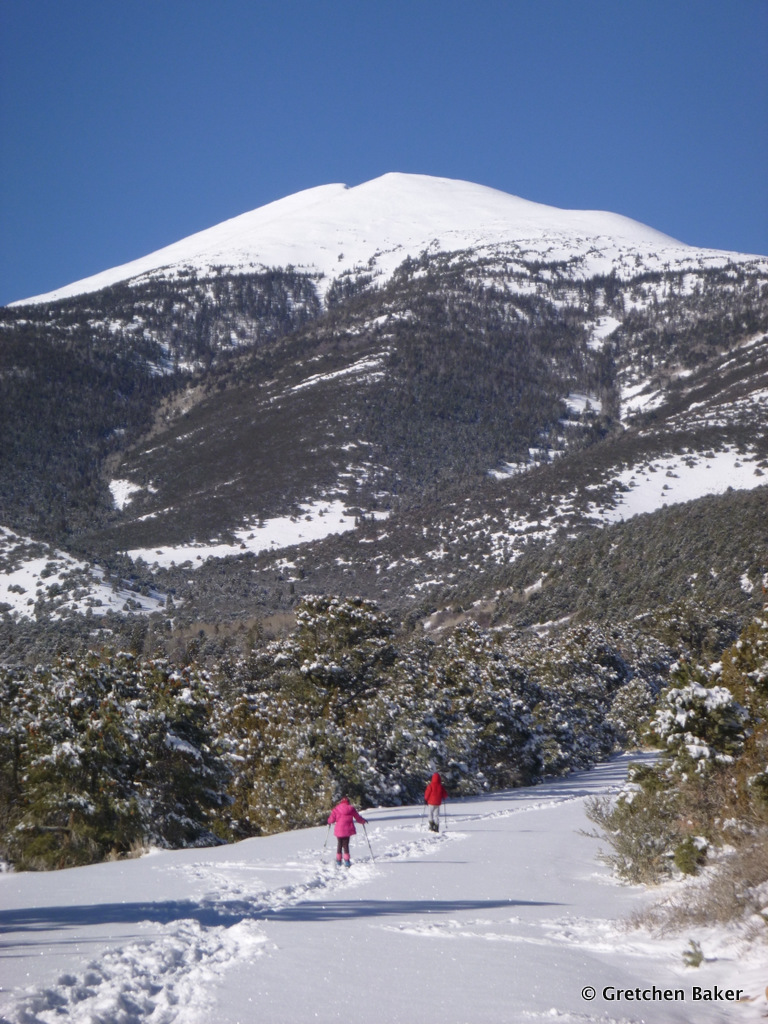 Desert Survivor: Grey Cliffs Cross Country Ski