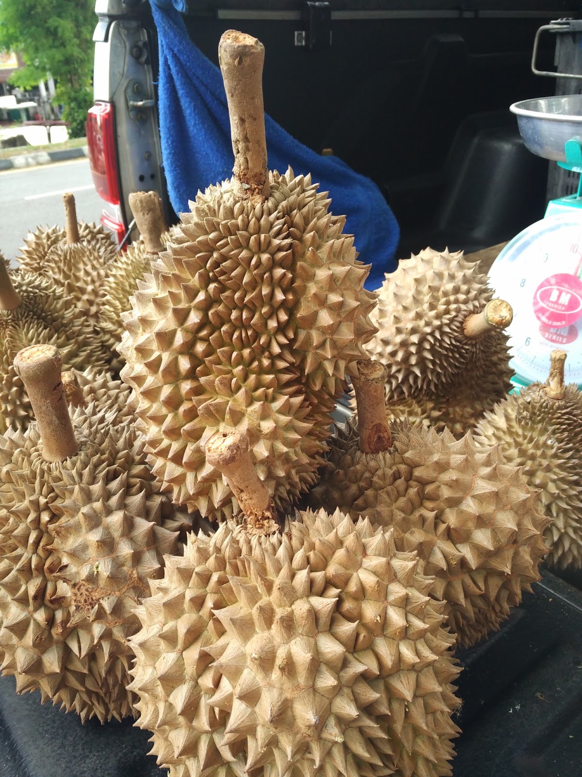 Durian - love it or loathe it at first sniff!