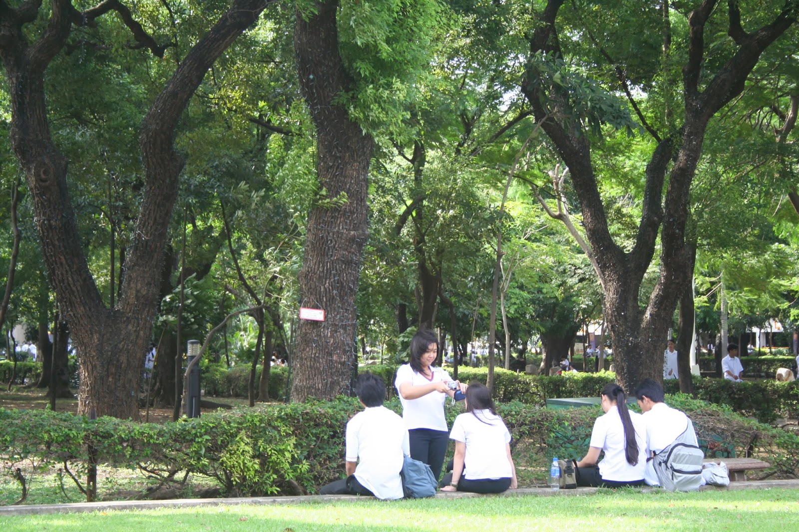 Living with Nature - School on Blog by Dr. Abercio V. Rotor: September 2017