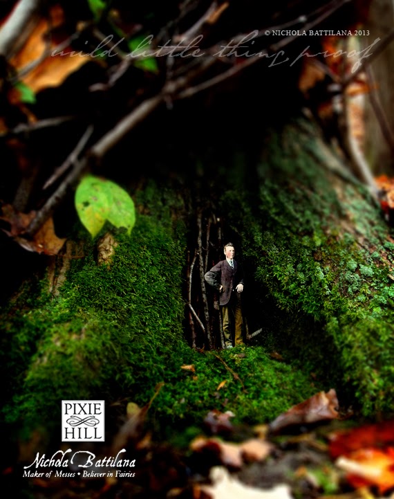 Pixie Hill: Wild Little Things