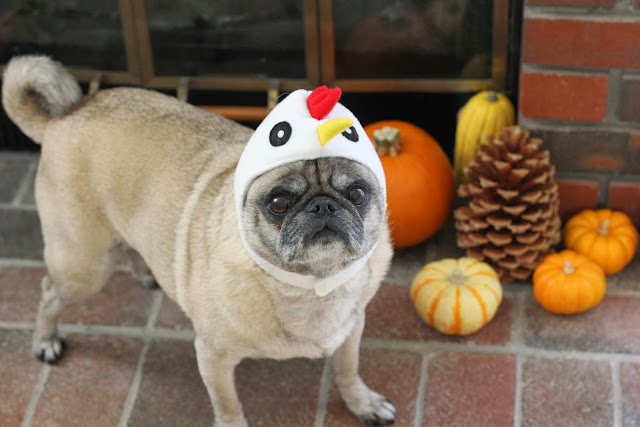 The Macy Dixie Line: The Worst Day of the Year