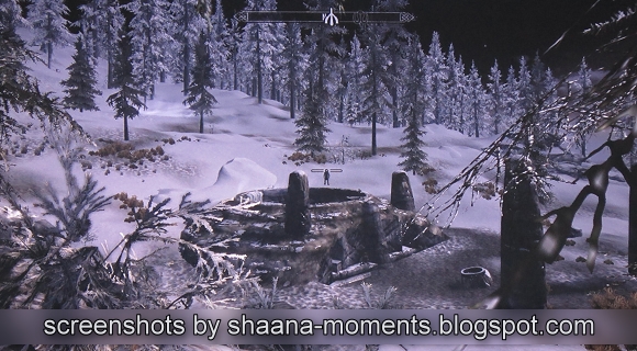 shaana: The Elder Scrolls 5 - Skyrim - Volunruud