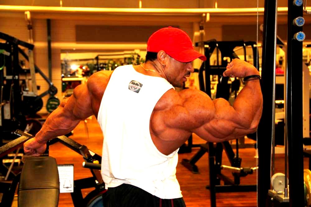 Knights of Bodybuilding: ROELLY WINKLAAR