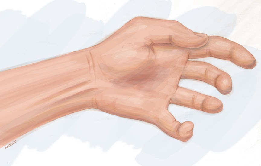 Human Anatomy for the Artist: The Ventral Forearm: What are those Tendons?