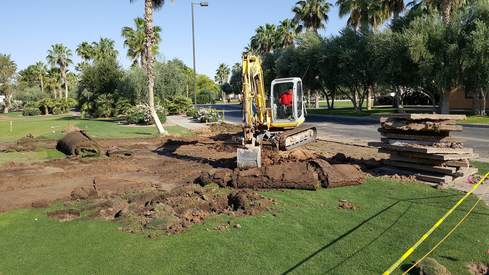Palm Creek Update: Bye Bye Palm Tree