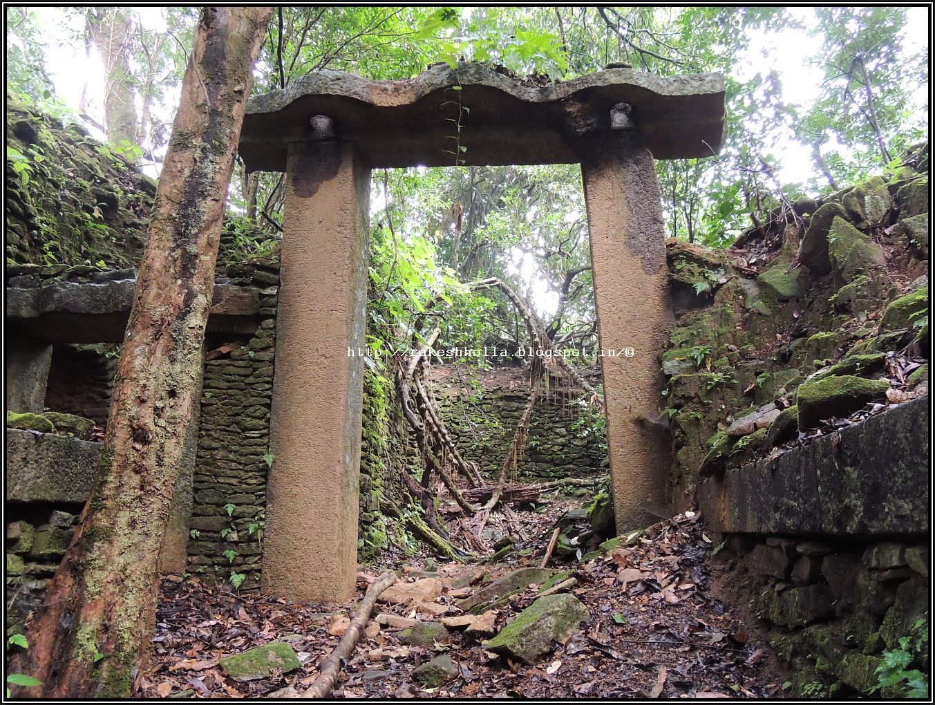 The Voice of Greenery - Trekking and Travelling in Western Ghats: Kote ...