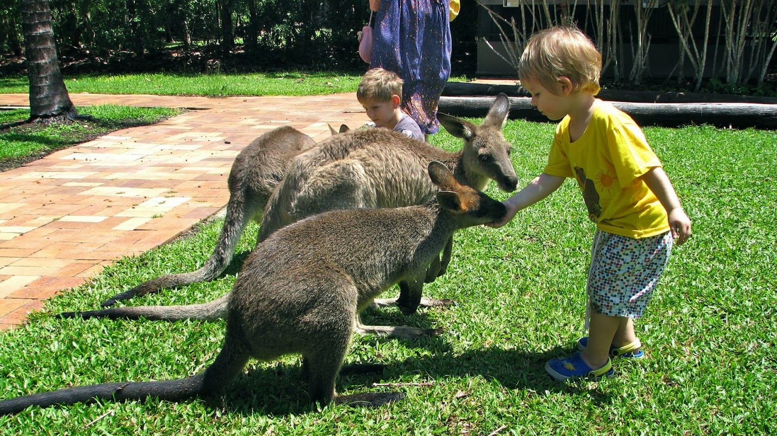 Farith's Family Travel: Caversham Wildlife Park, Perth