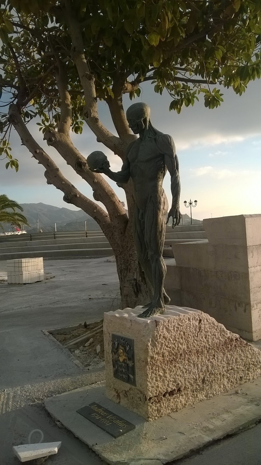 Παμπάλαια: Ιανουαρίου 2016