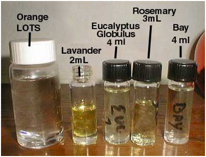 DIY Home Plant oil extraction | Plant Oil Extraction