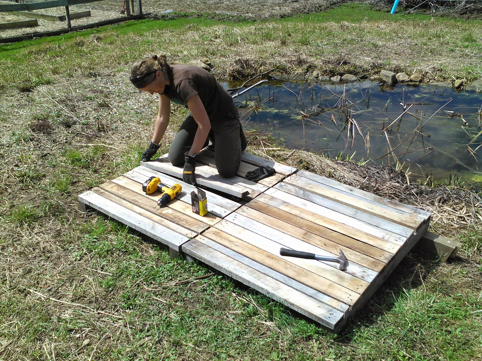 the common milkweed: Mini Wildlife Observation Platform Made of Pallets ...
