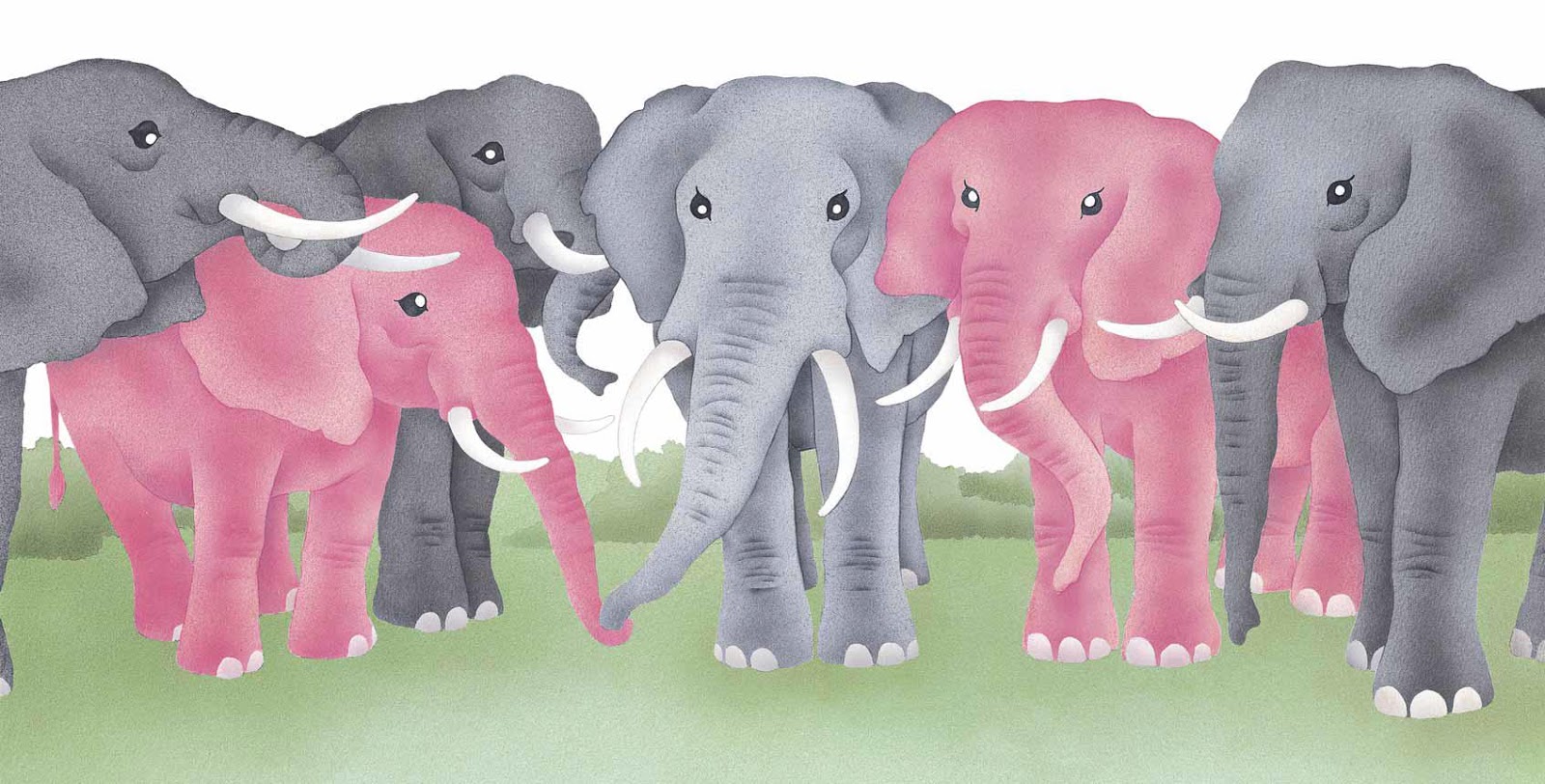 Cuentos Coeducativos