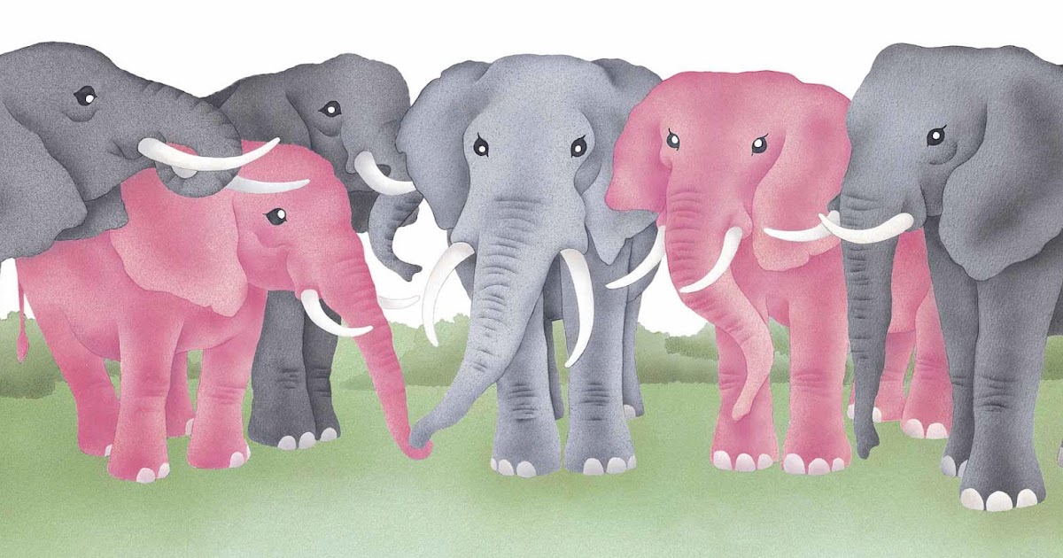 Cuentos Coeducativos