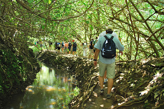 Travels of Note: Hiking Ho’olawa Valley