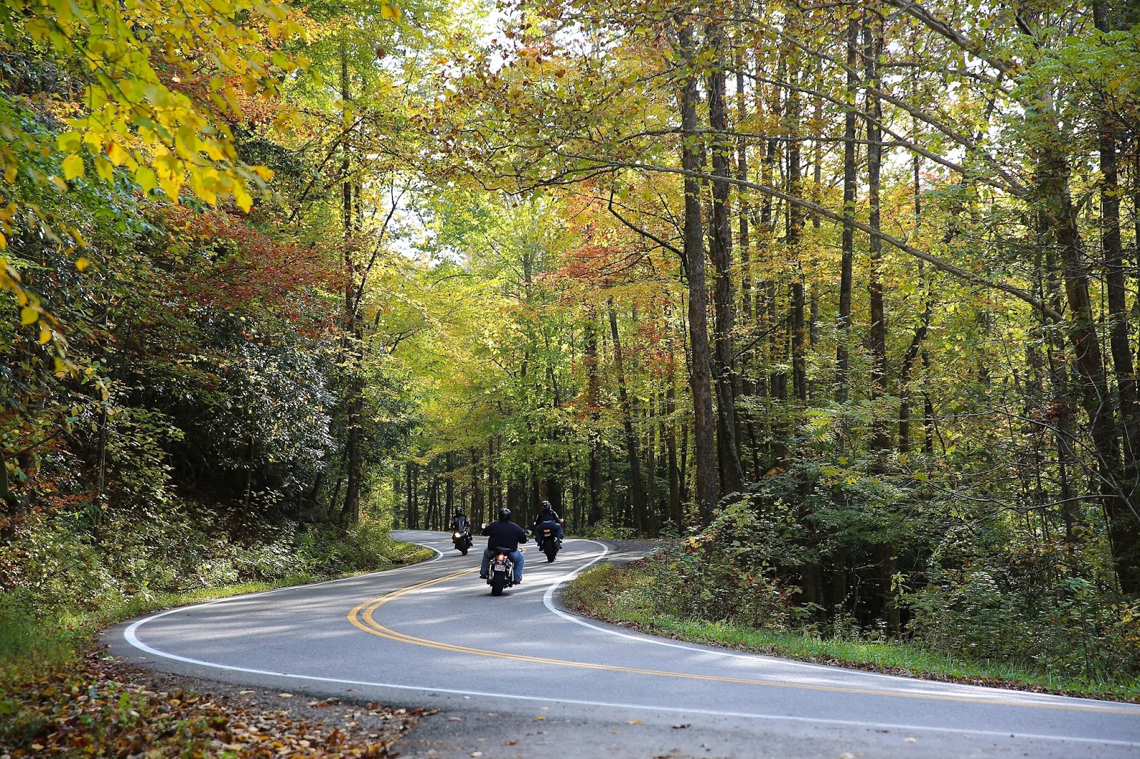 Sweet Southern Days: Parson Branch Road In The Great Smoky Mountains ...