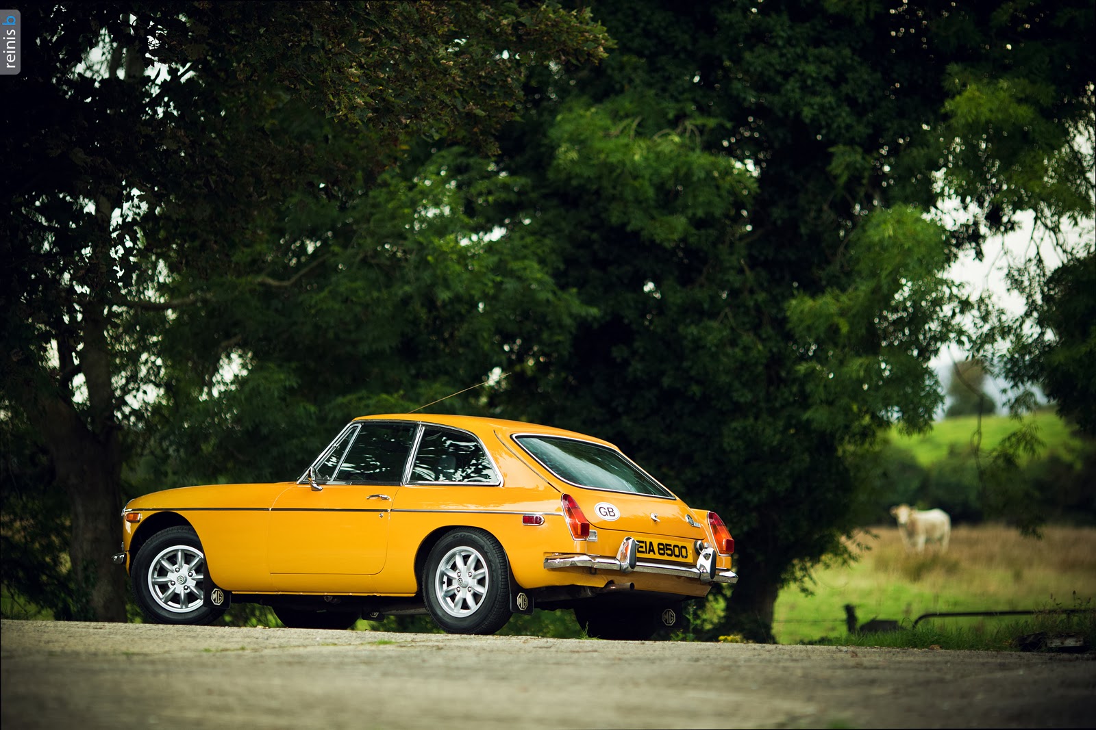 Reinis Babrovskis Photography: MG MGB GT
