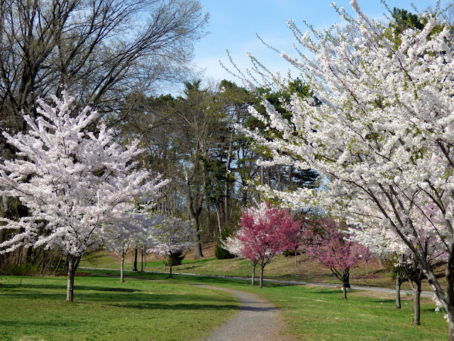 Essex County Place: Take a Hike at Branch Brook Park