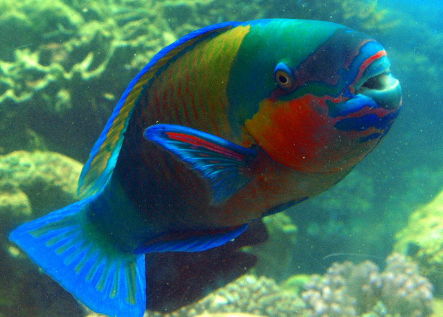 La ciudad de los pozos