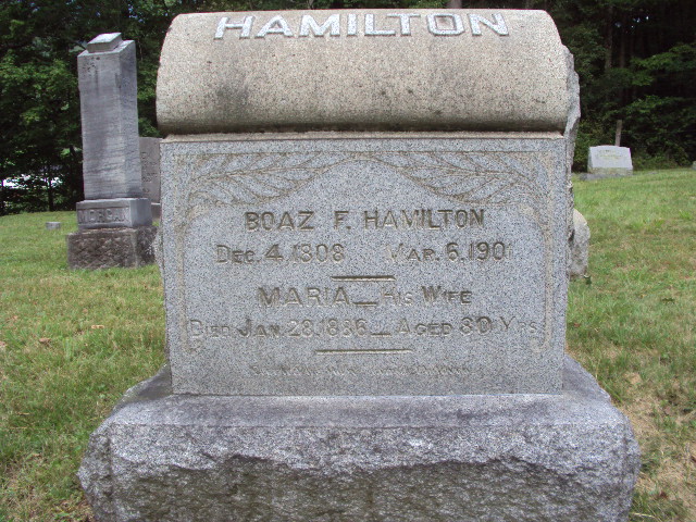 Princes and Pioneers: A Family History: Hamilton/Fleming/Stewart Line ...