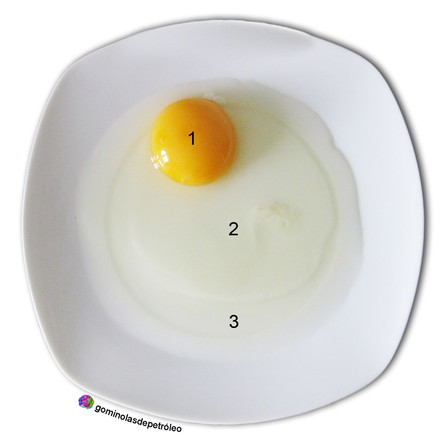 GastroNomia: HUEVOS Y OVOPRODUCTOS