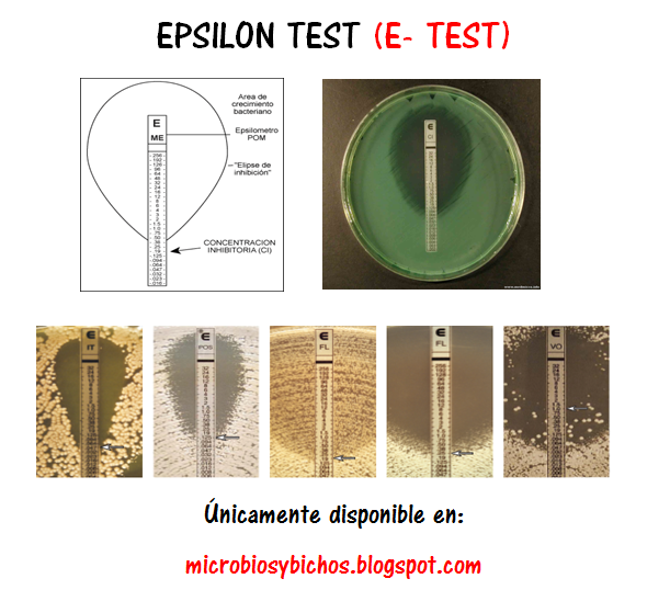 Microbios y Bichos: Epsilon Test (e- test)