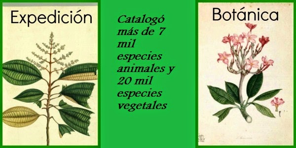 La Expedicion Botánica