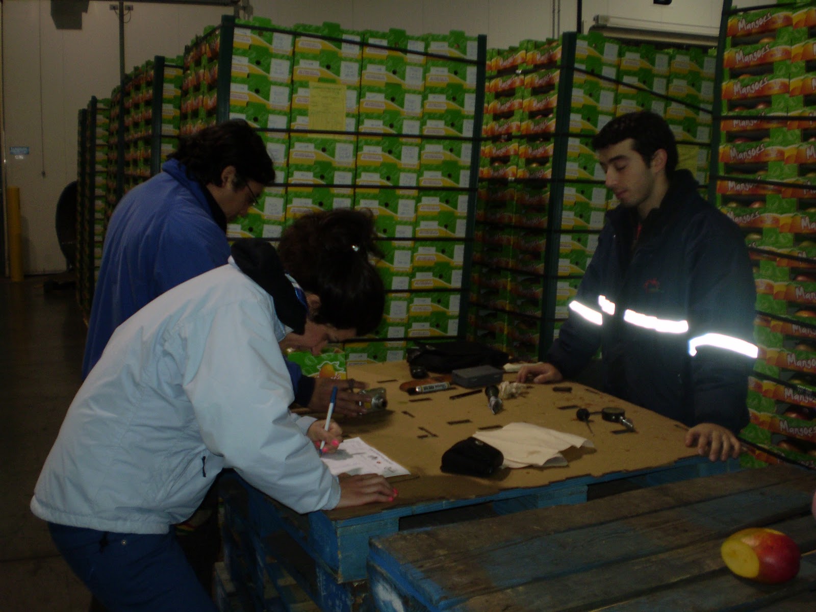 MANGO-MARKET-REPORT: MANGO INSPECTION JANUARY 2009 - LOS ANGELES (PRIME ...