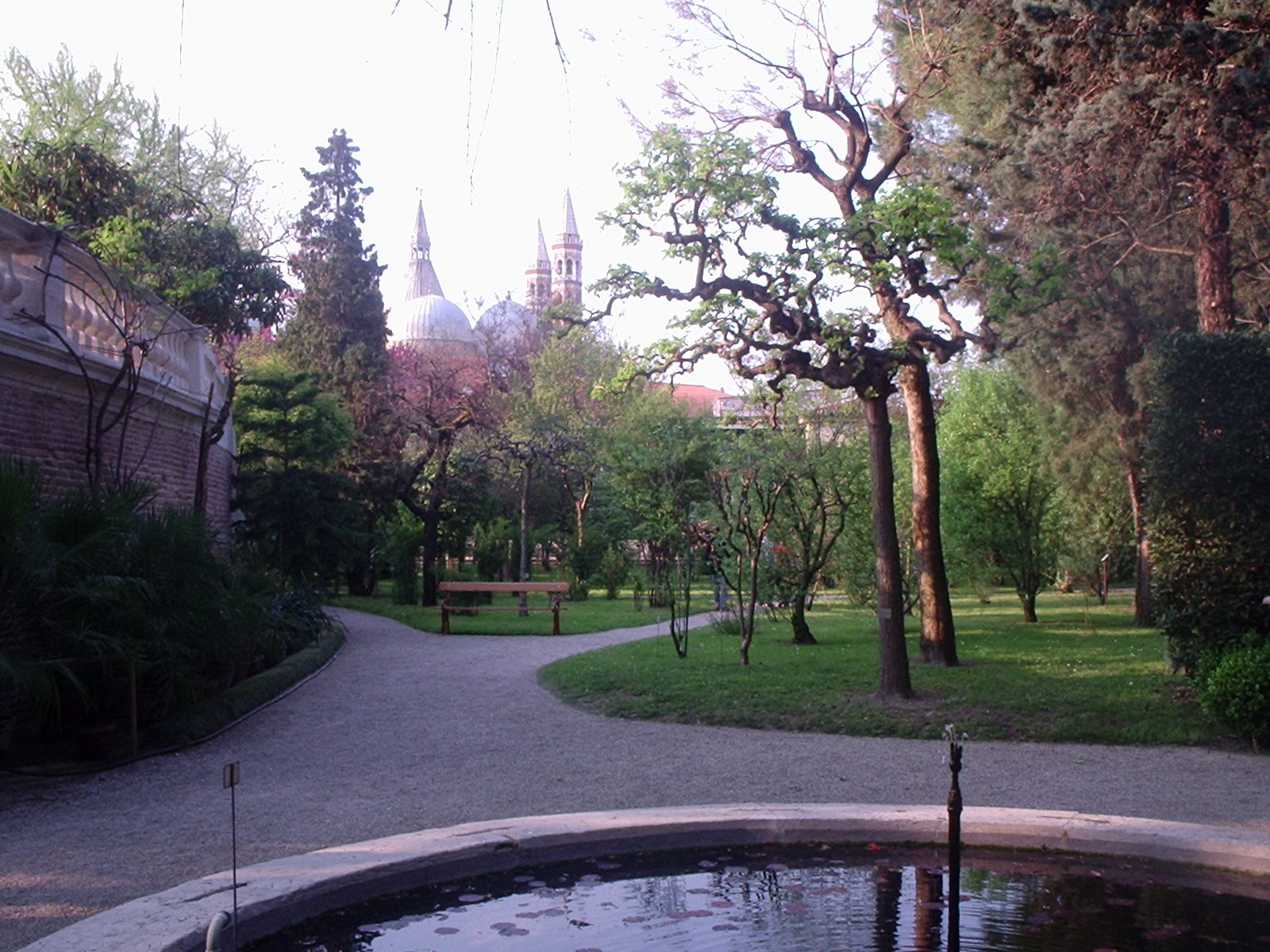 I fiori dell'Orto Botanico di Padova | I LOVE TRAVEL