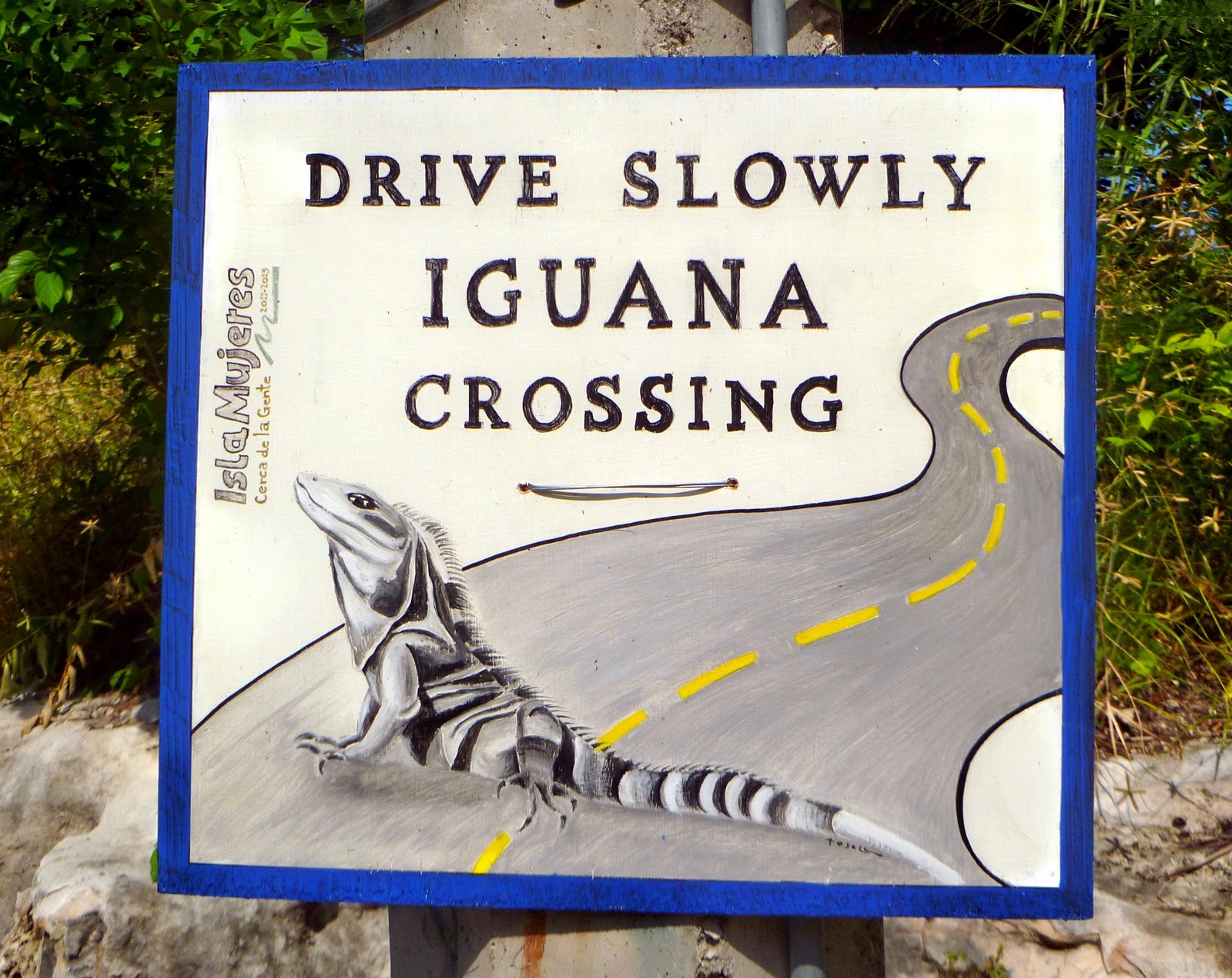 Life's a Beach!: The Soggy Walk