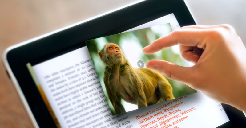 IPS-UNIVERSIDAD FRANCISCO GAVIDIA BACHILLERATO VIRTUAL: Textos ...