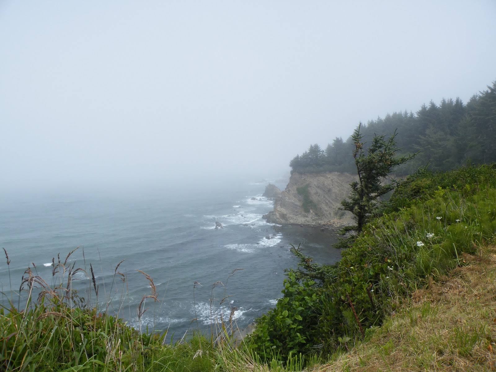 A Day On The Southern Oregon Coast - Fox Hollow Cottage