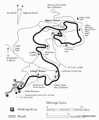 Panorama2U: Yosemite National Park (3) - Mariposa Grove & Wawona area