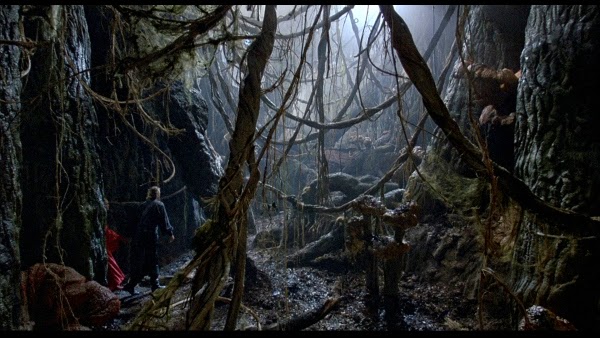 Portable Antiquity Collecting and Heritage Issues: "Standard Operating ...