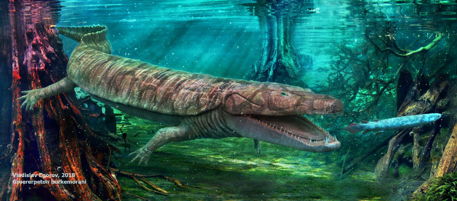 Blog de la Vida Prehistórica: La Era de los Anfibios