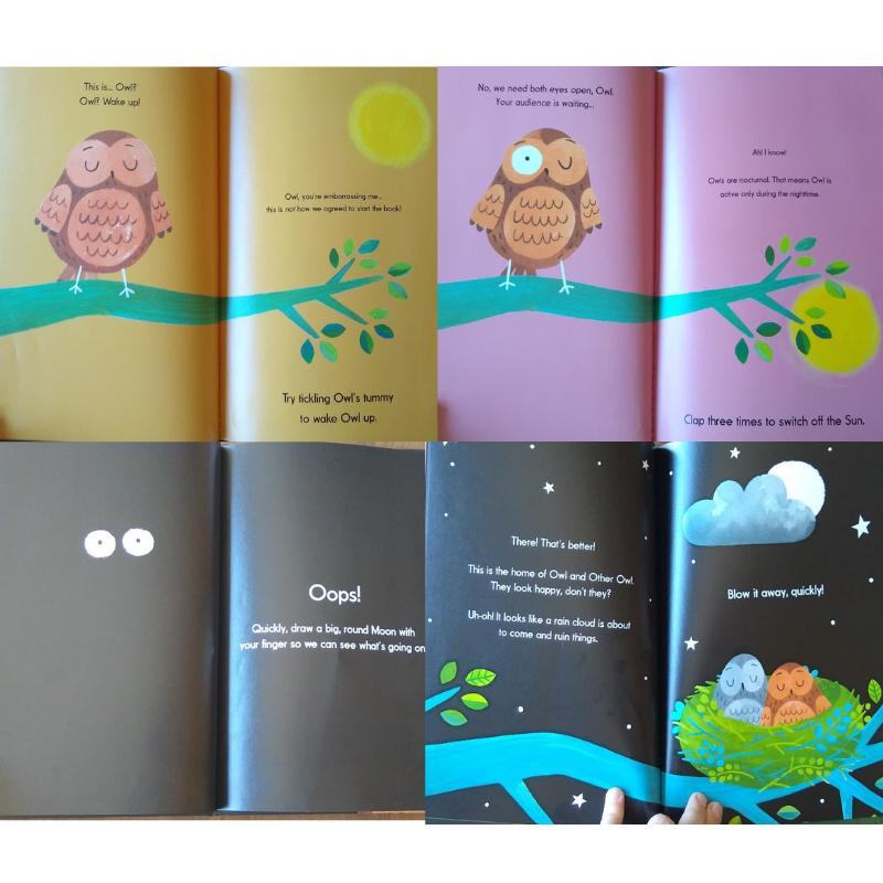 Little Book Learners: This is Owl & Free Printable Craft