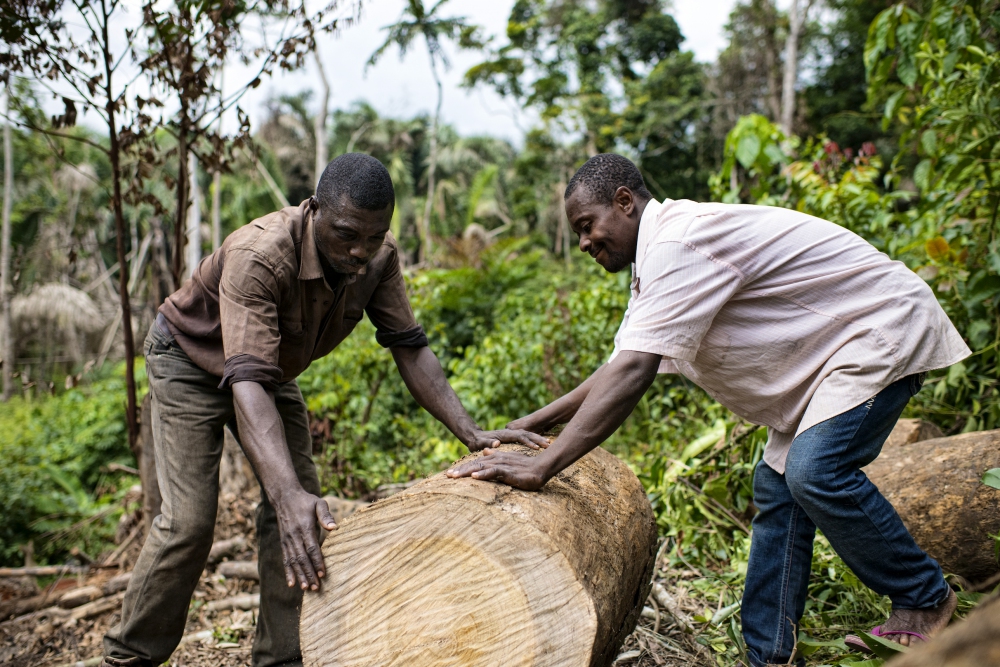 Saving Ghana’s forest and reducing emissions: Is REDD+ the solution?