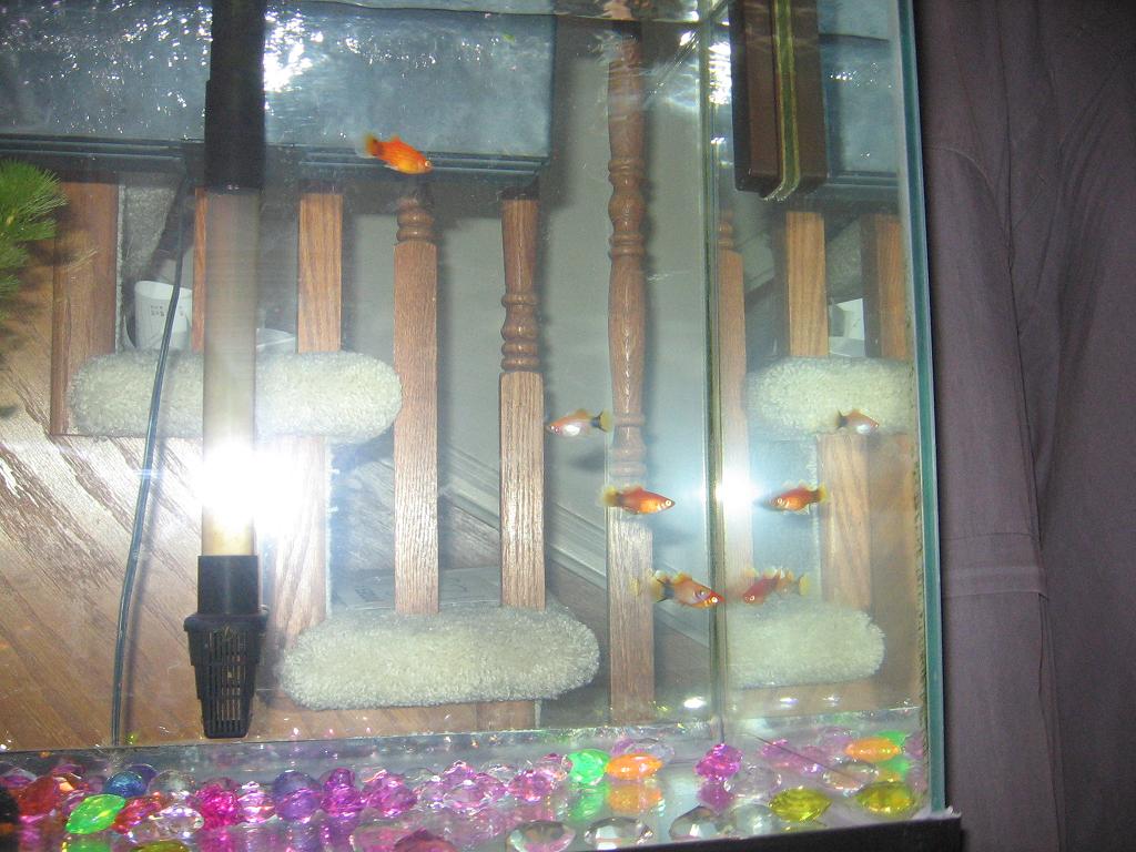 Fongpay's Universe: Batman and Mickey Mouse Spotted.