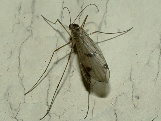 Variety of Life: October 2012