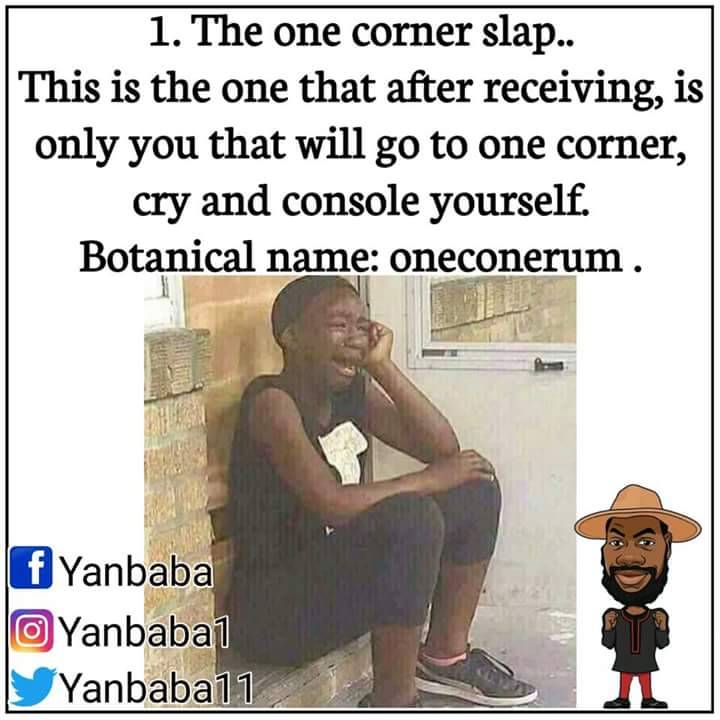 Stella Dimoko Korkus.com: Different Types Of Slaps And Their Botanical ...