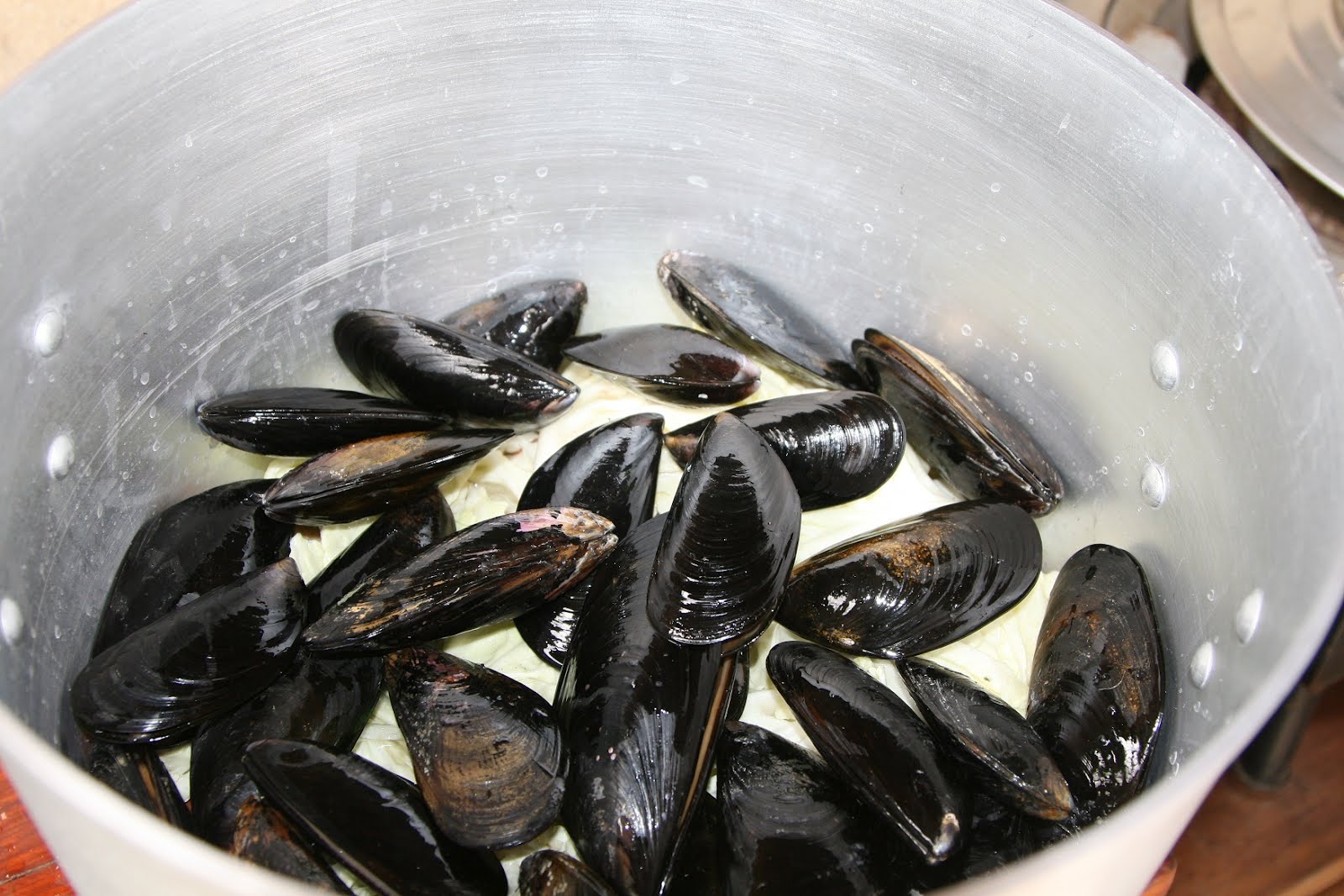 Emilio Deik: Curanto en Olla o Pulmay