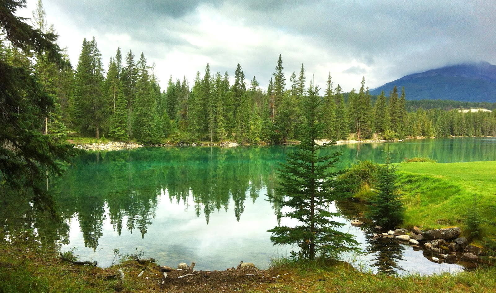 Judith Altman Designs