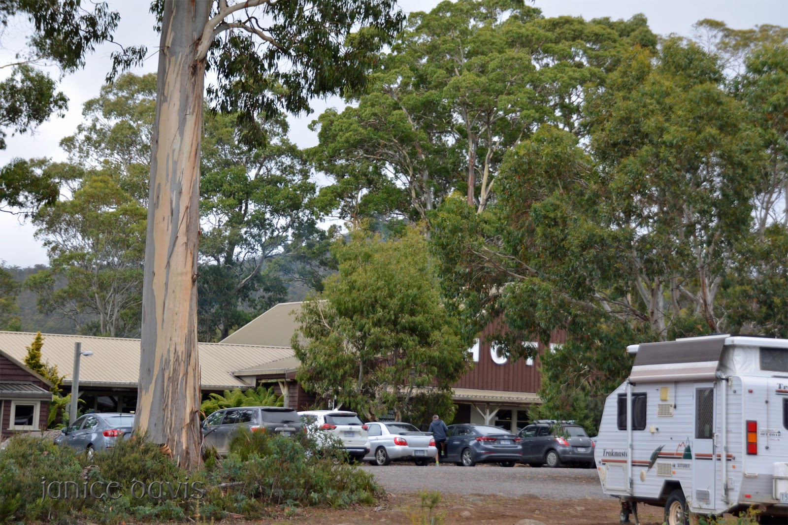 thoughts & happenings: Derwent Bridge, Tasmania