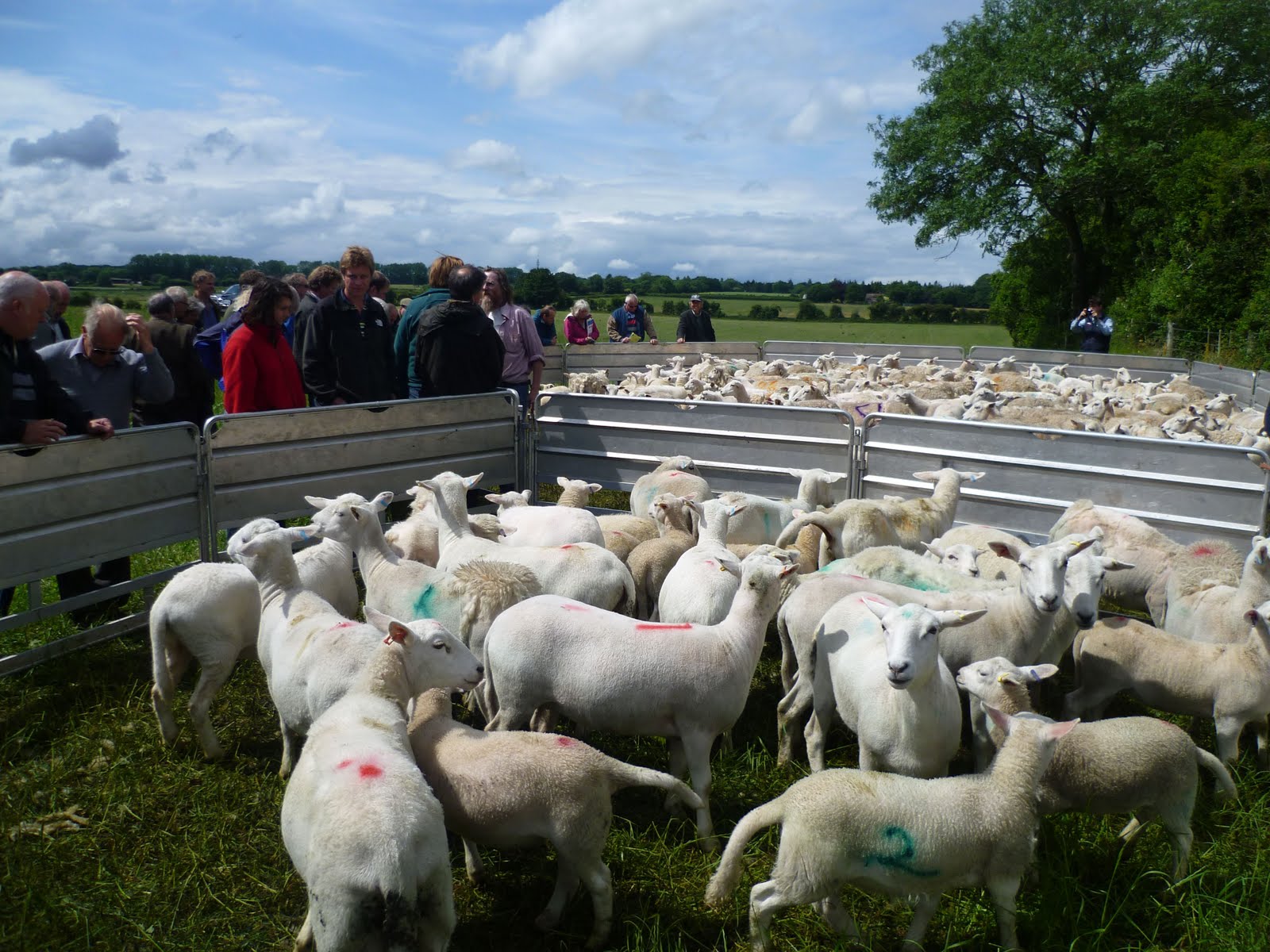 The Farming Ladder - Can we build it? Yes we can!