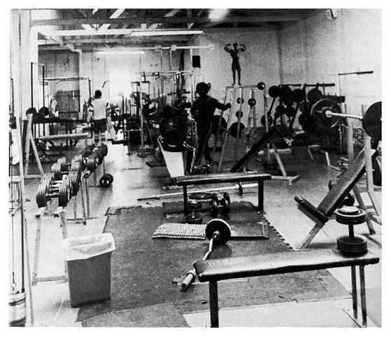 Leon's Muscle Blog: September 2011