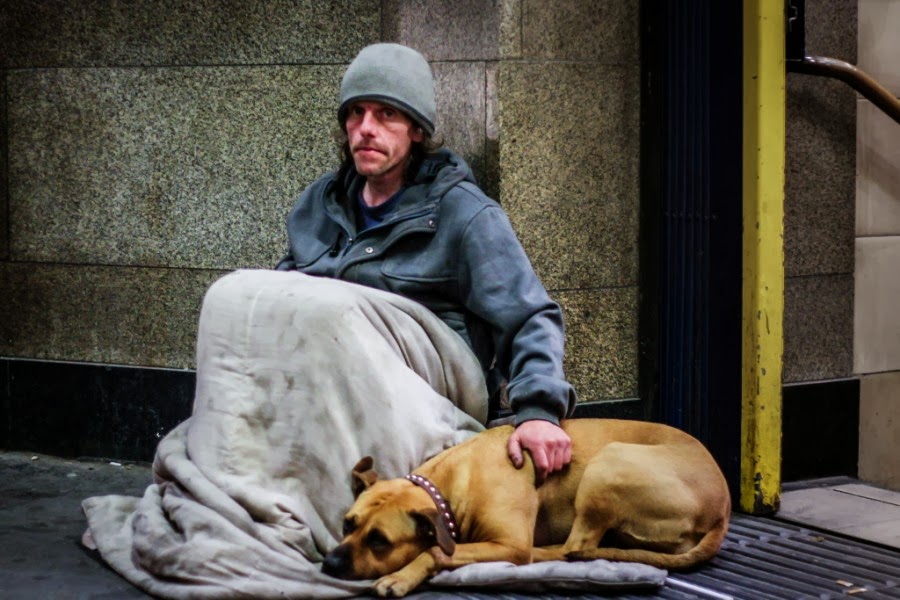 35 Heartwarming Photographs of Homeless People with Their Dogs - Best ...