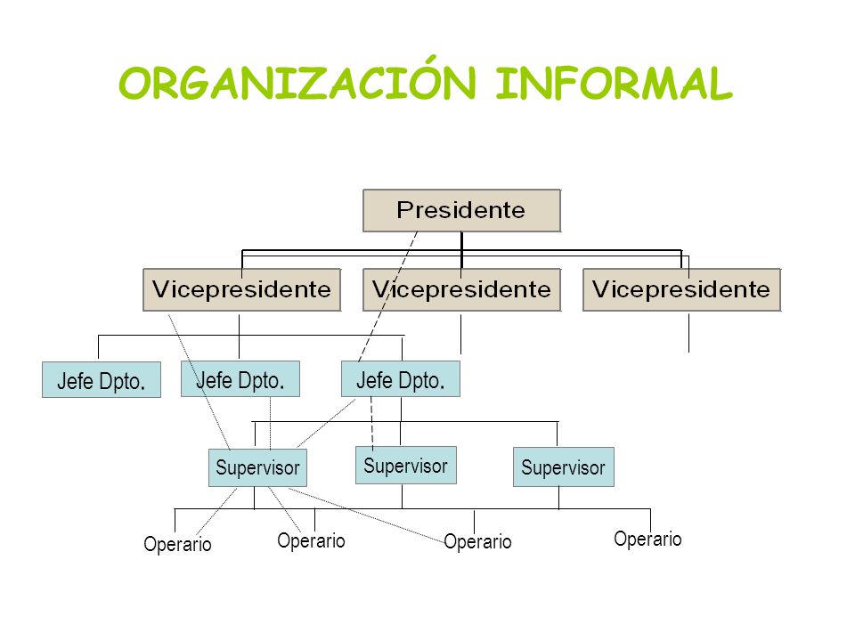 Organización Y Métodos: CAP 4 La Organización de la Empresa