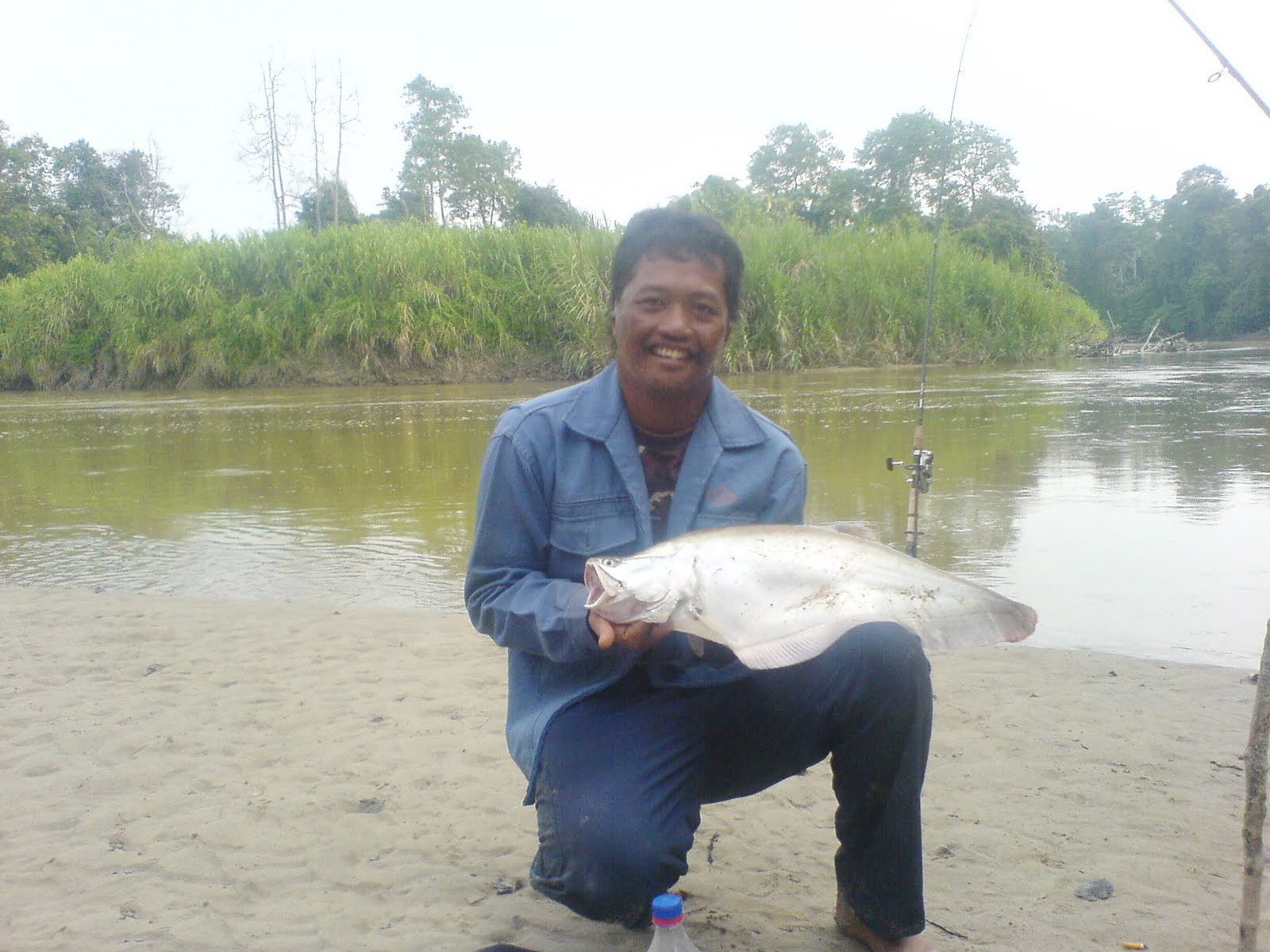 KAKI PANCING: About Fish Belida Secret