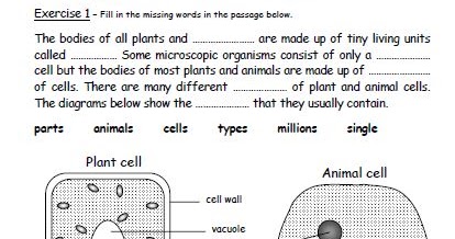 KS3 Science Revision Worksheets Cells PDF Vacuole Cell, 60% OFF