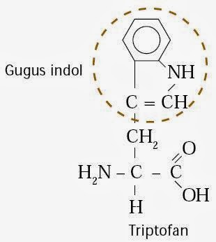 Belajar Matematika Simpel: Pintar Pelajaran Identifikasi Protein Dan ...