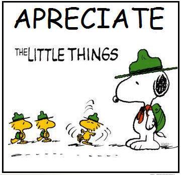 Just a Lil Blog: The Little Things