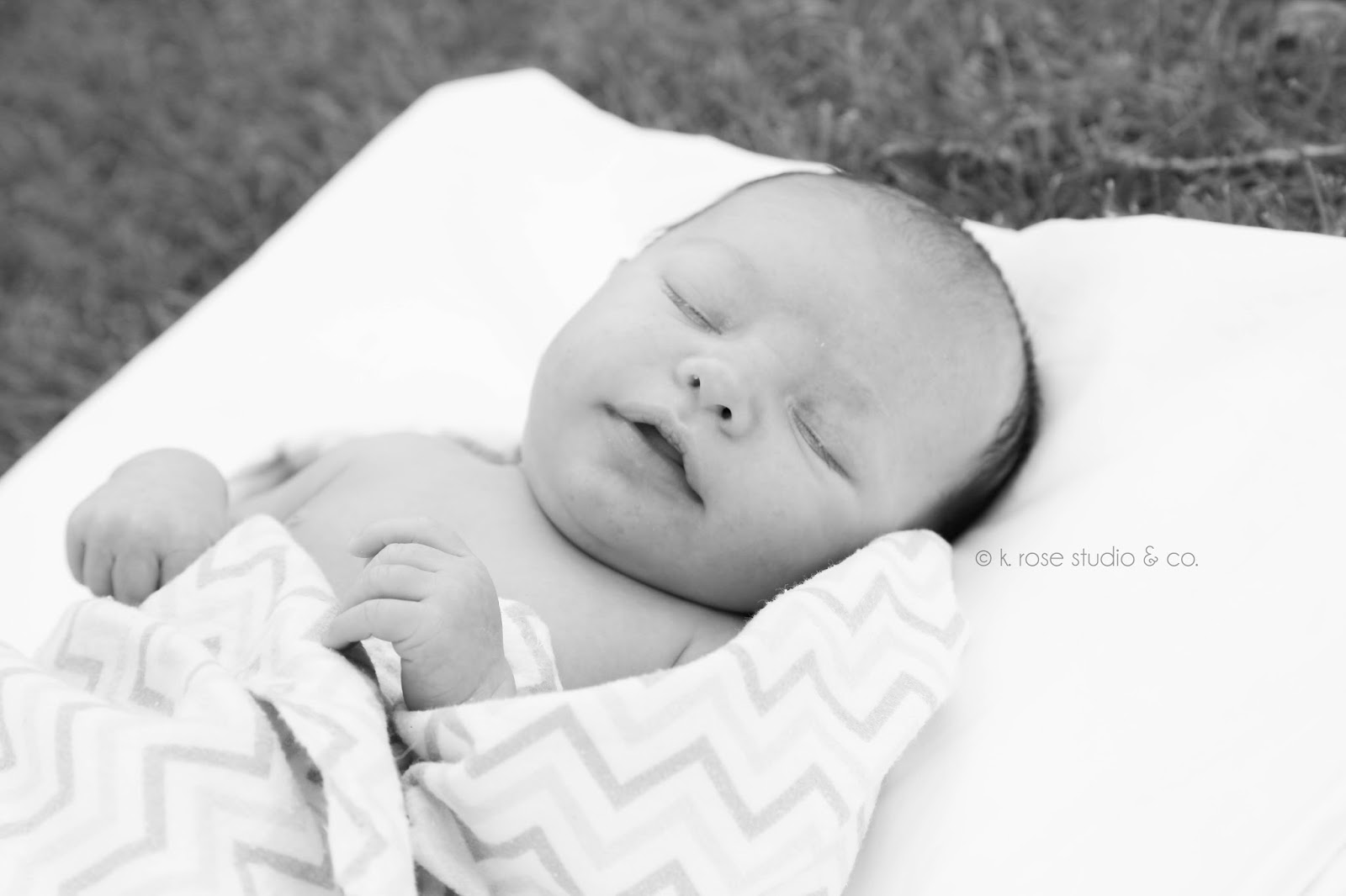 Sneak Peek: Waylon James | Random&Wonderland